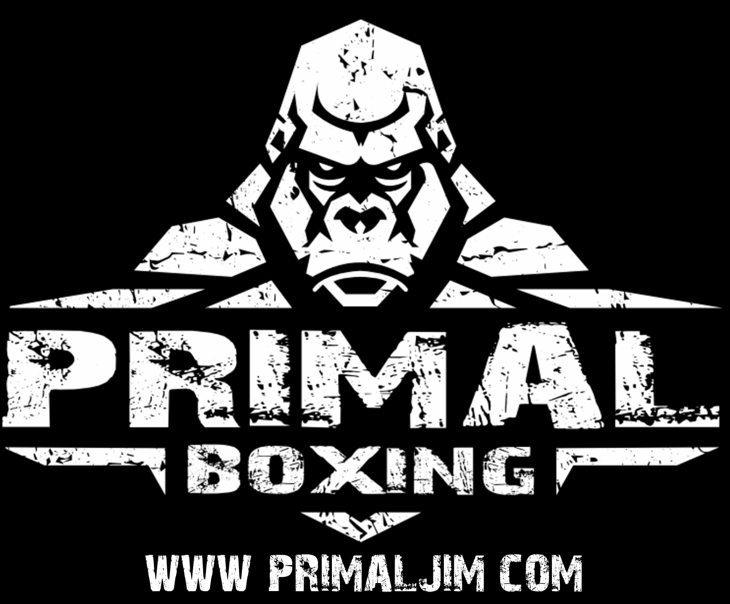 Videos | Kick Boxing, MMA and Self-Defense Classes | Primal Jim